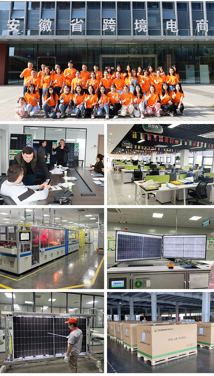 SUNWAY 300W-15KW DC Solar Water Pump System - Sunway Solar